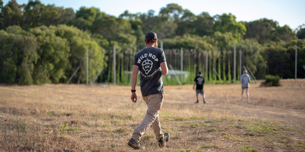 Wild Hop becomes 14th brewery for Margaret River – Brews News Australia